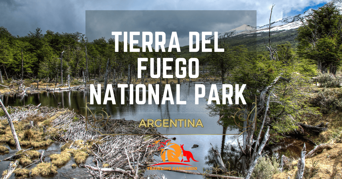 Tierra del Fuego National Park - Traveling Kangaroo