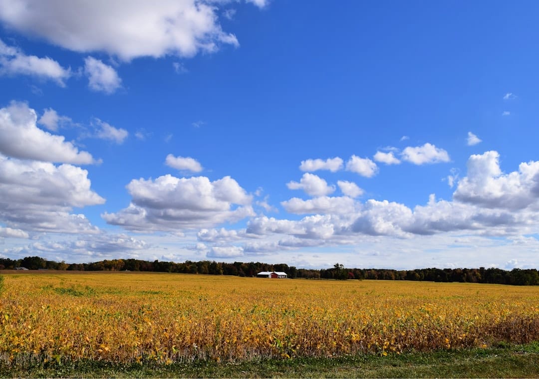 Most Beautiful Places to Visit in Indiana